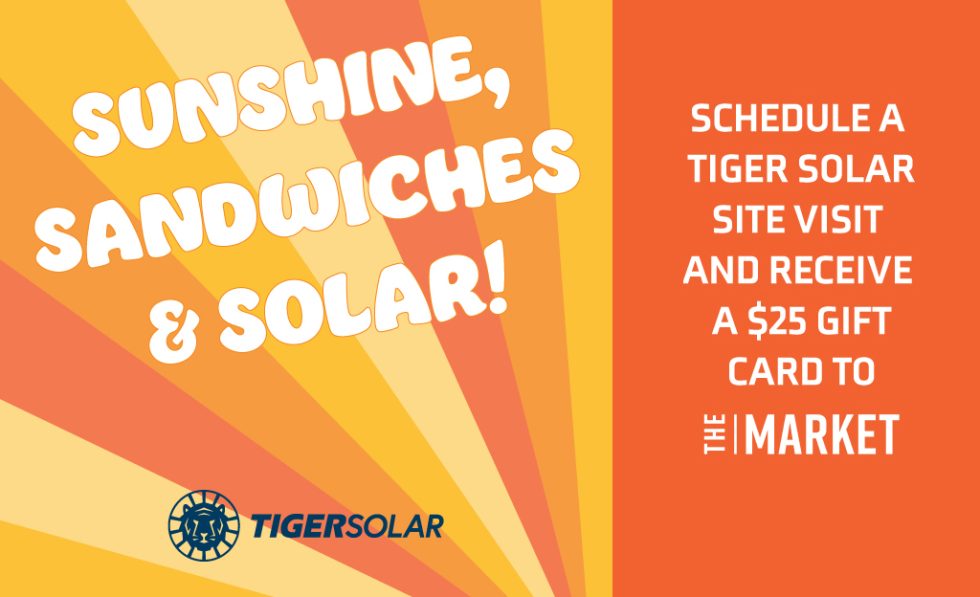 Sunshine Sandwiches and Solar | Tiger Solar