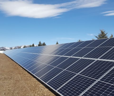 Commercial and Residential Solar Experts | Tiger Solar