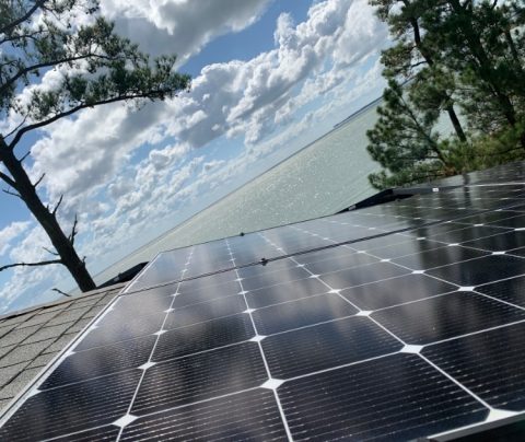 Commercial and Residential Solar Experts | Tiger Solar